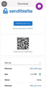 How to download a file? | SendThisFileSendThisFile